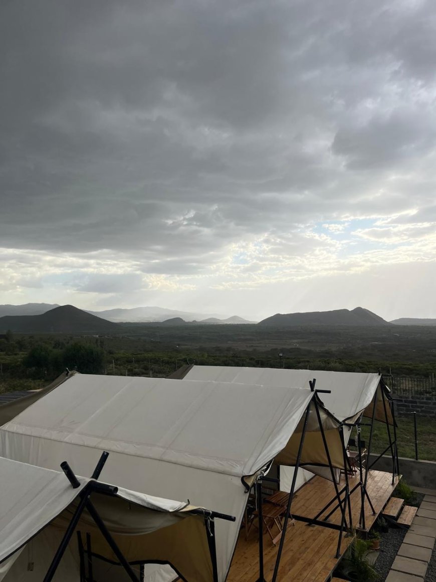 Top Attractions to Explore Around Ayza Elementaita Resort - SFS - News ...